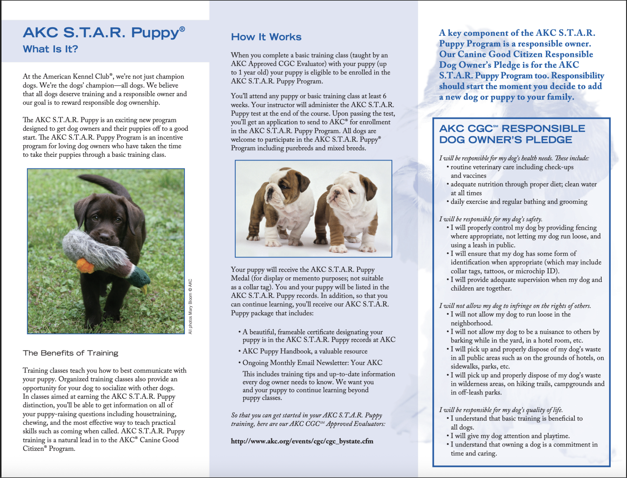 AKC S.T.A.R. Canine Good Citizen (CGC), and AKC Titles – Graceful Goldens